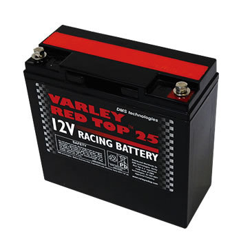 DMS Technologies AGM BATTERIES | 株式会社タニダ